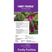 FIRST EDITIONS Buddleia Funky Fuchsia Shrub (2 Gallon) – Plants Direct ...