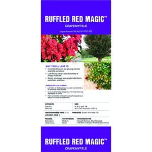 FIRST EDITIONS Ruffled Red Magic Crape Myrtle (2 Gallon) – Plants ...