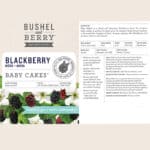 Bushel and Berry Blackberry, Baby Cakes Shrub (2 gallon) – Plants ...